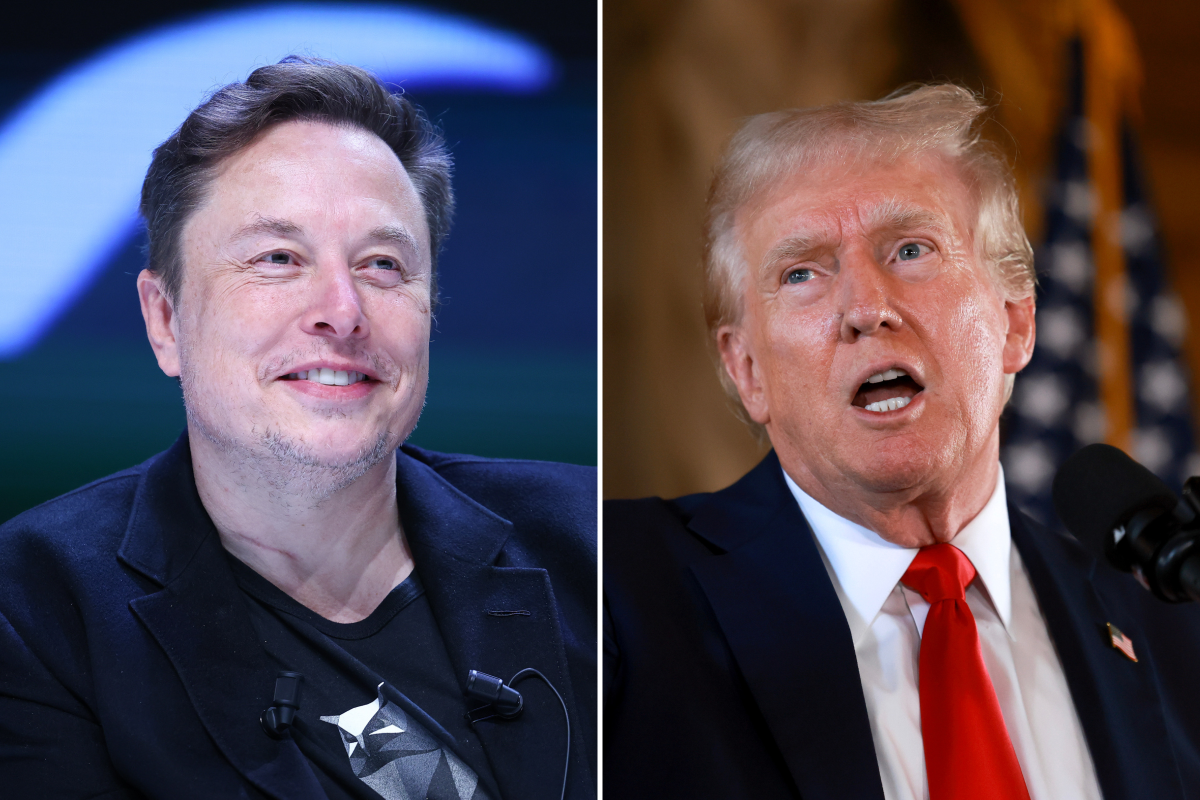 ¿Explotará Dogecoin si gana Trump? ¡Elon Musk tiene un plan!