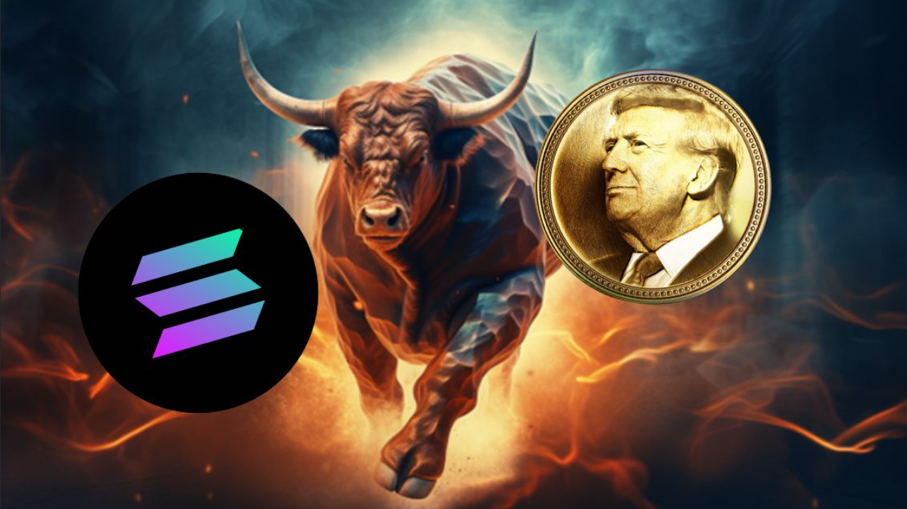 Solana and TRUMP Coin Set Their Sights on February—Could This Be the ...